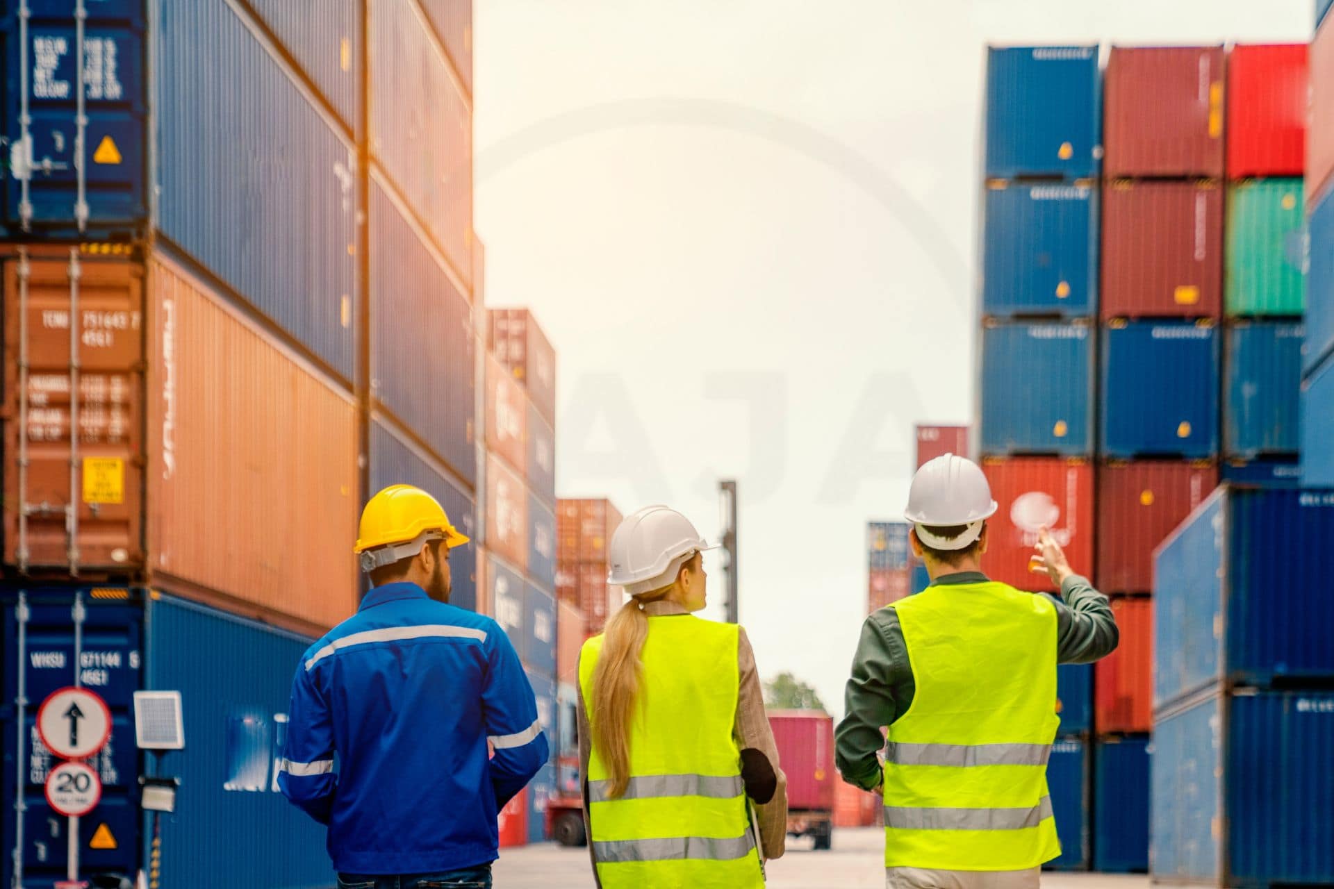 Trading Solutions - RAJA TRADE LLC